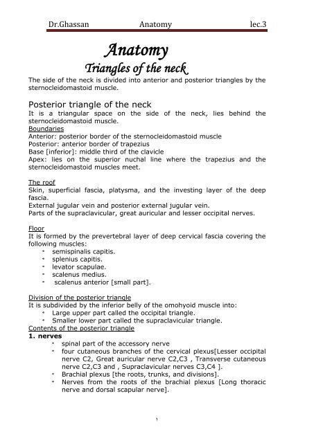 Anatomy ( Posterior Triangle )
