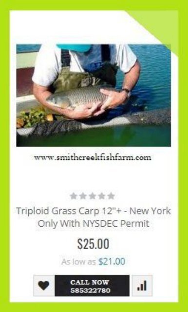 Vegetation Control Using Triploid Grass Carp in Ponds