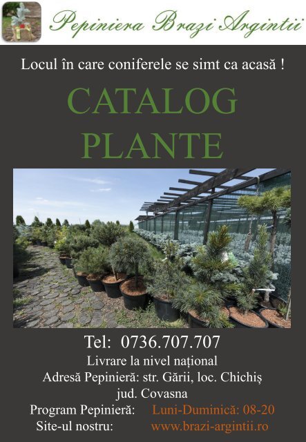 Catalog plante Pepiniera Brazi Argintii