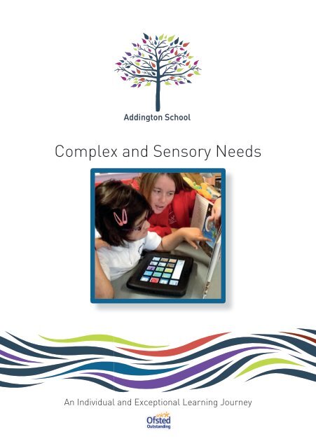 Complex and Sensory Needs