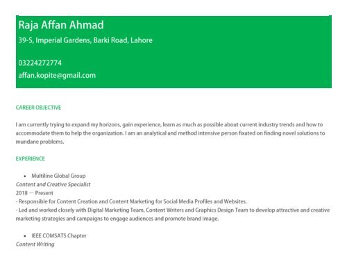 Raja Affan Ahmad CV