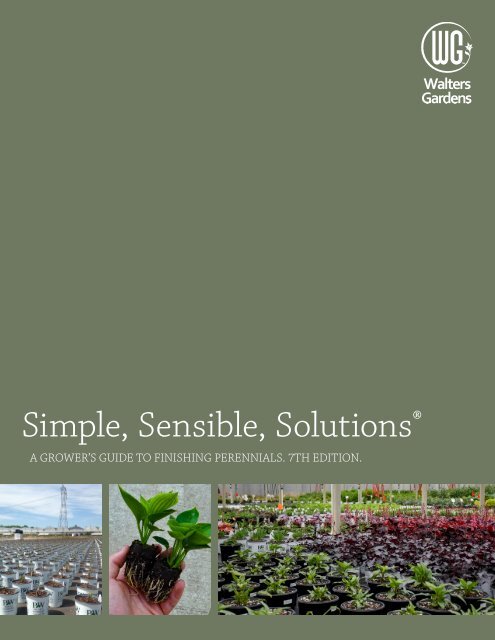 Simple Sensible Solutions