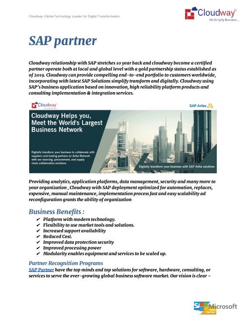 SAP Partner