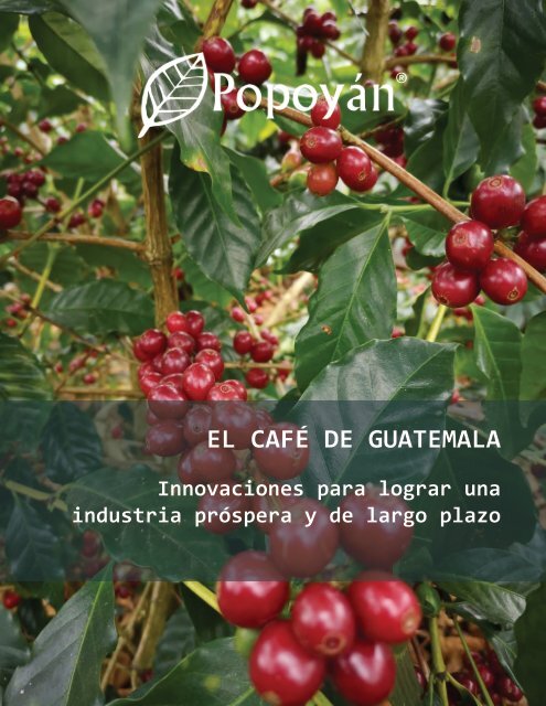 El Café de Guatemala El Café de Guatemala