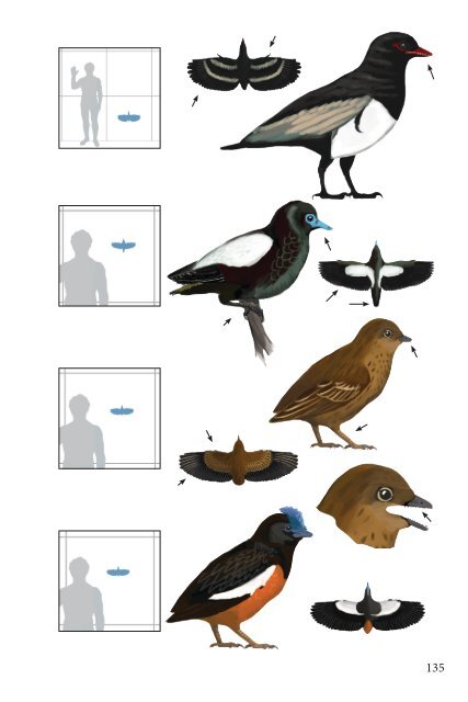 Hou’s Peng Bird Pengorn