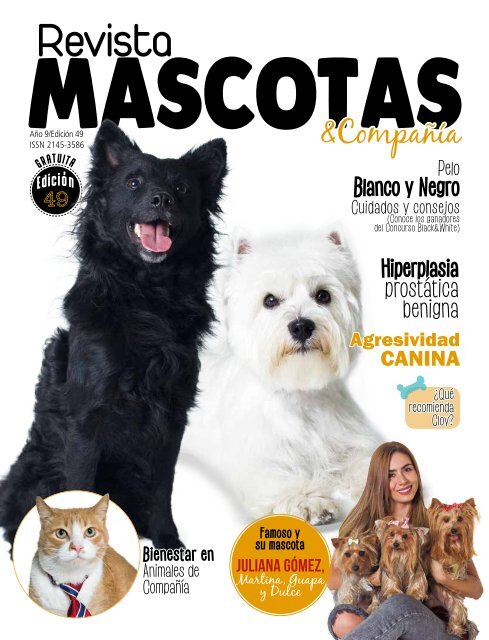 Revista Mascotas&Co Ed. 49