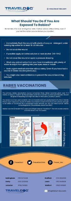 What Should You Do If You Are Exposed To Rabies? (Infographic)