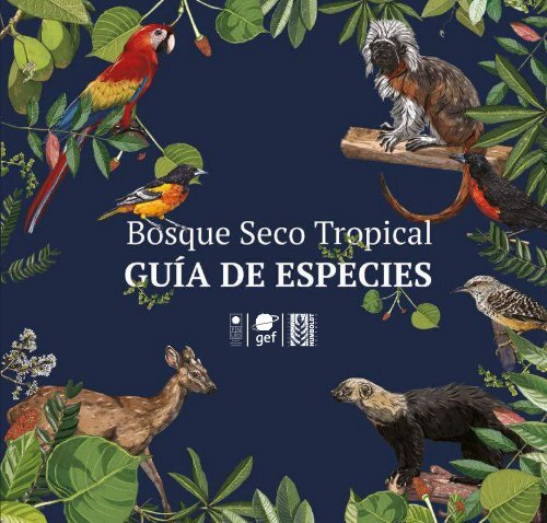 BOSQUE SECO COLOMBIA