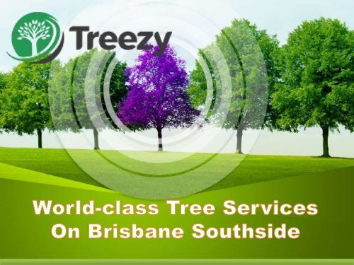 World-class Tree Services On Brisbane Southside