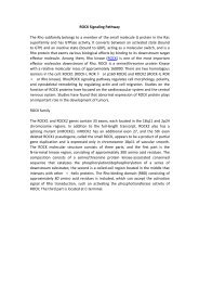 Resistin Signaling Pathway