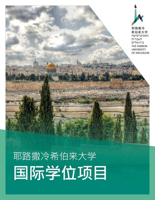 International Degree Programs