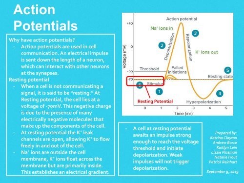 ActionPotential.pptx