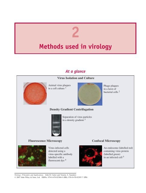 2 Methods used in virolog