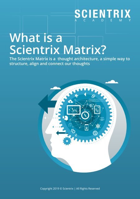 What is a Scientrix Matrix?