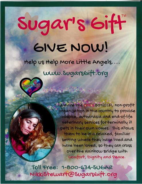 Sugar's Gift™️ Brochure
