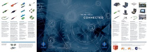 Flyer We're Well Connected