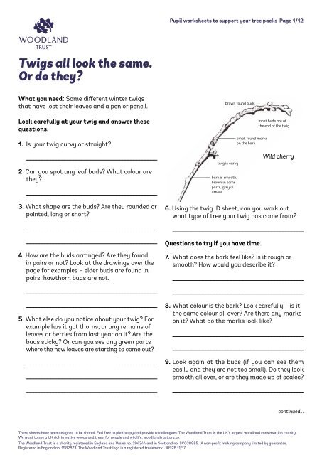 pdf_tree_pack_pupil_worksheets