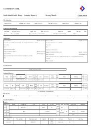 Sample Credit Report