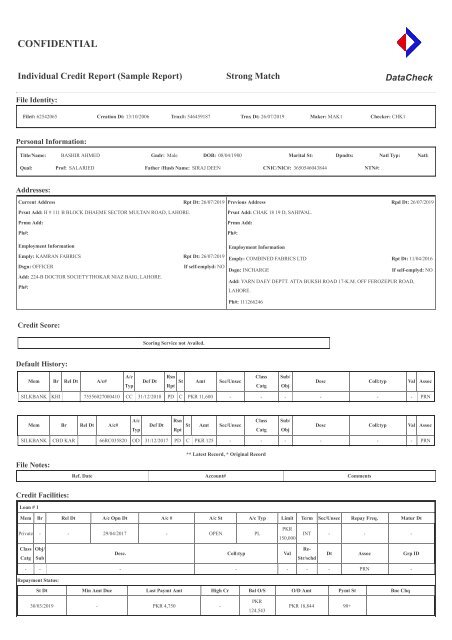 Sample Credit Report
