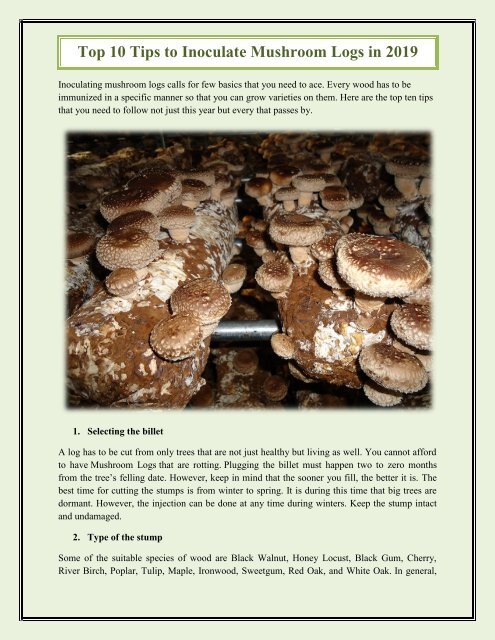Top 10 Tips to Inoculate Mushroom Logs in 2019