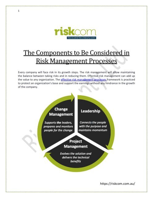 The Components to Be Considered in Risk Management Processes