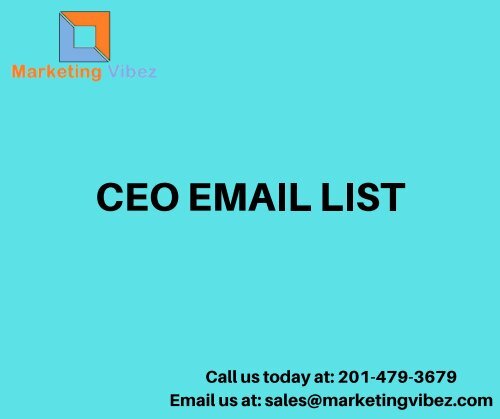 CEO EMAIL LIST