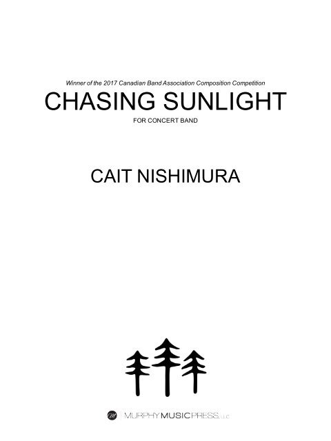 CHASING SUNLIGHT- NISHIMURA
