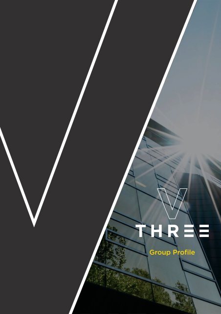 V Three Group Corporate Profile