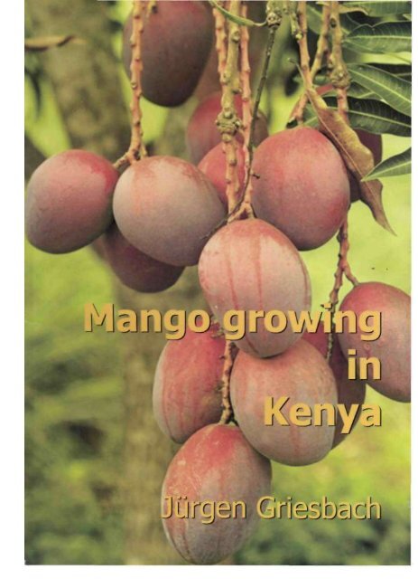 Mango Growing in Kenya - World Agroforestry Centre