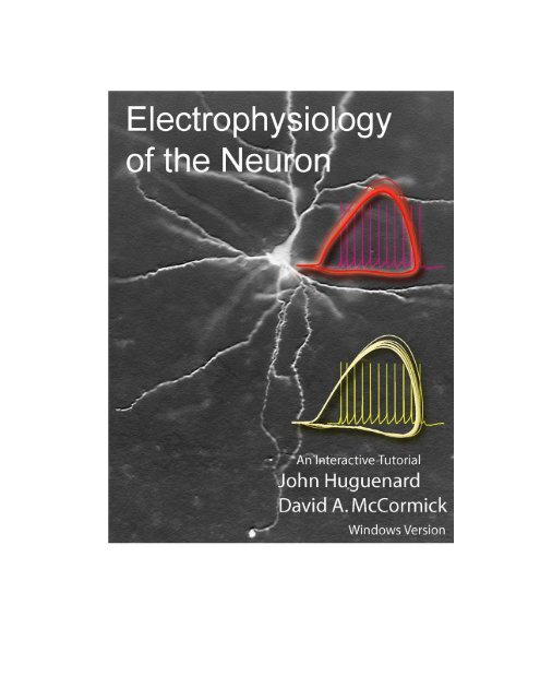 An Interactive Tutorial - Electrophysiology of the Neuron - Stanford ...