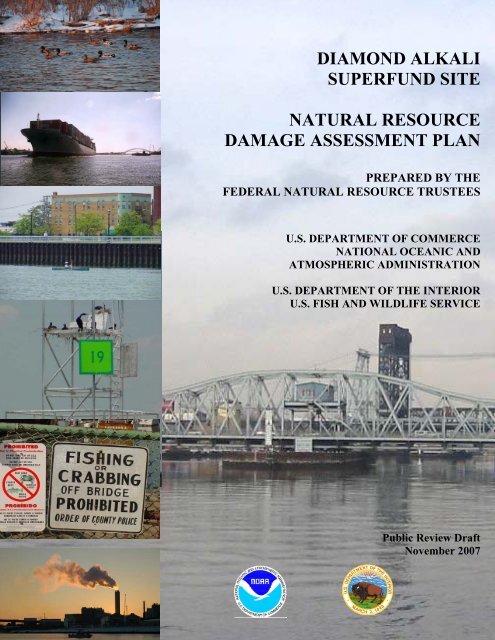 DIAMOND ALKALI SUPERFUND SITE NATURAL RESOURCE ...