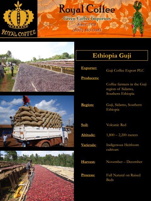 Ethiopia Guji - Royal Coffee, Inc.