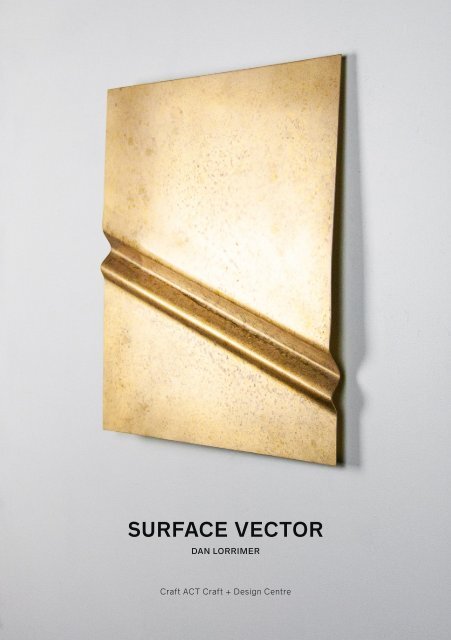 Surface Vector