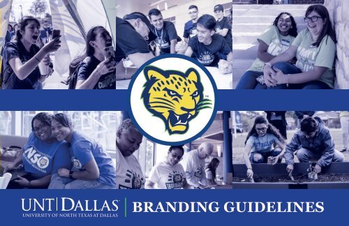 UNT Dallas Branding Guidelines