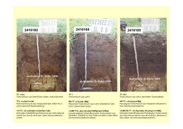 Sand, Schluff und Ton Gedanken zum Baustoff „Lehm“