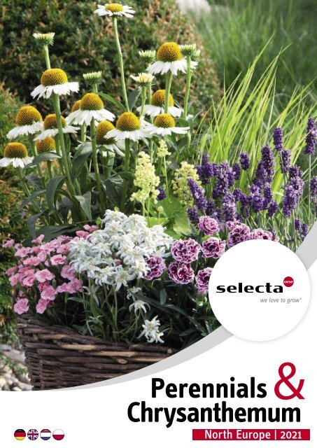 selecta Perennials and Chrysanthemum 2021 North Europe