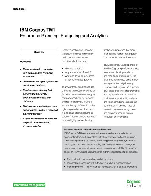 IBM Cognos TM1