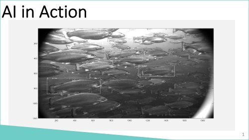 OPTOSCALE_Video Slide