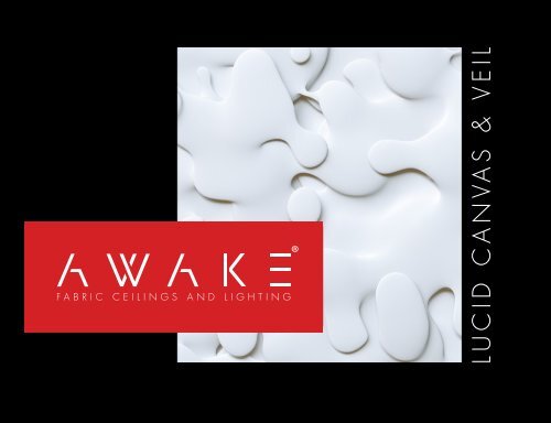 Lucid Canvas and Veil: Wide-span Translucent Fabrics for Luminous ...