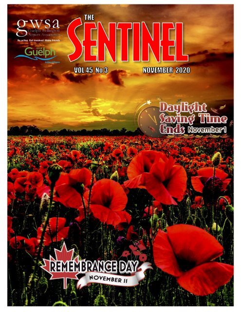 November 2020 issue
