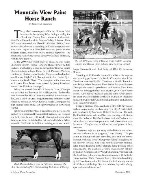 Performance Paint Horses