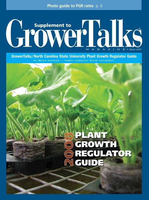 GrowerTalks - Fine Americas