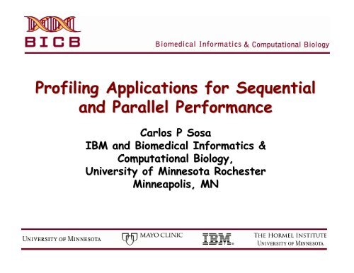 Profiling Applications For Sequential And Parallel Performance
