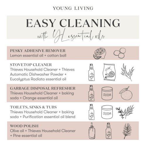 Easy Cleaning With YL Essentials