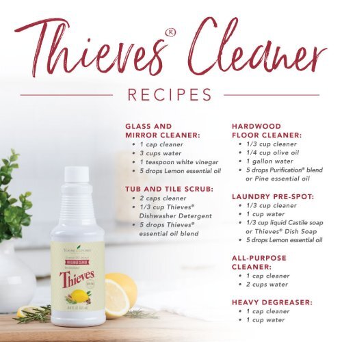 Thieves All Purpose Cleaner Recipe | Bryont Blog