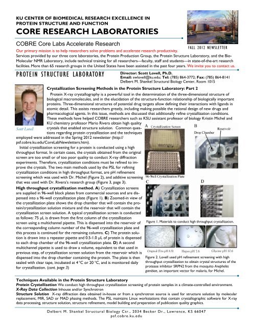 CORE RESEARCH LABORATORIES - cobre - University of Kansas