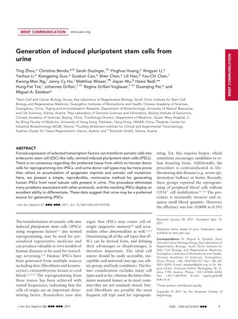 Generation of induced pluripotent stem cells from urine