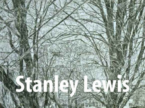 Stanley Lewis - Steven Harvey Fine Art Projects