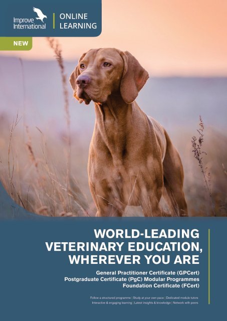 Improve International | Distance Learning Digital Brochure