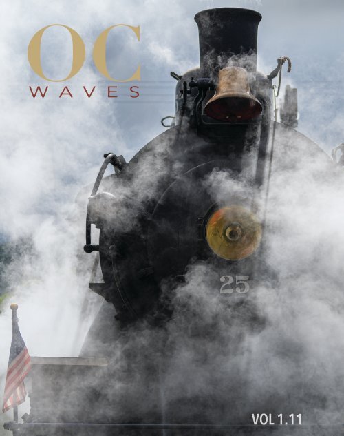 Oregon Coast Waves - 1.11